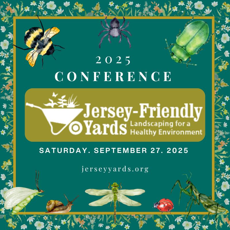 New Jersey Native Plants, Landscaping Design
